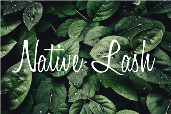 Native Lash - Idaho Falls ID | Vagaro